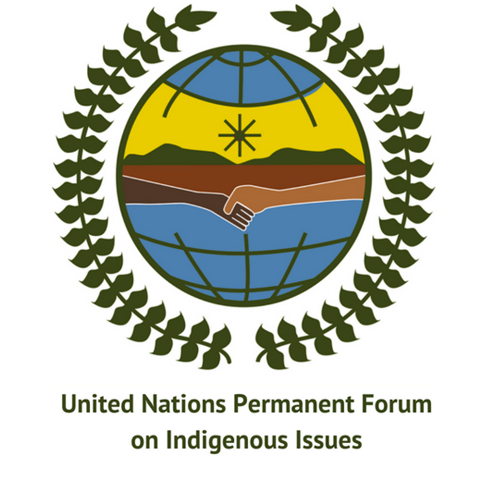 2019 - International Year of Indigenous Language