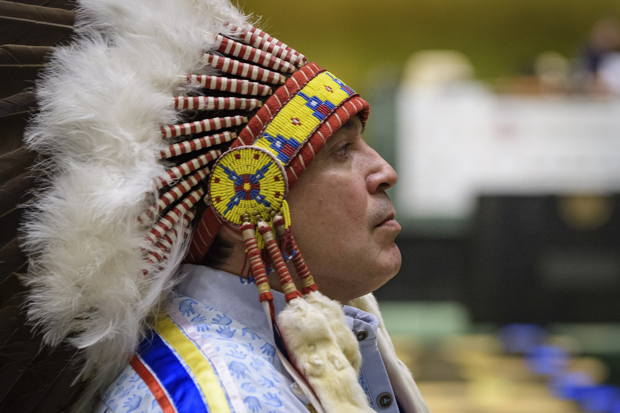 2019 - International Year of Indigenous Language