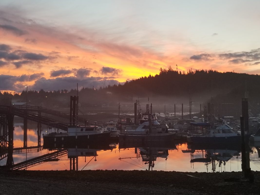 Decoding X̱aad Kil : An Introduction to the Haida Alphabet - 2019 ...