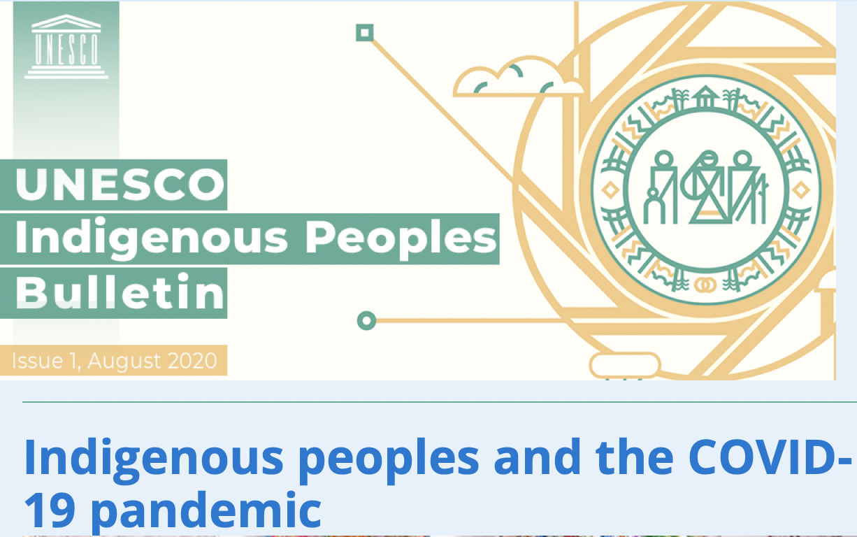 2019 - International Year of Indigenous Language